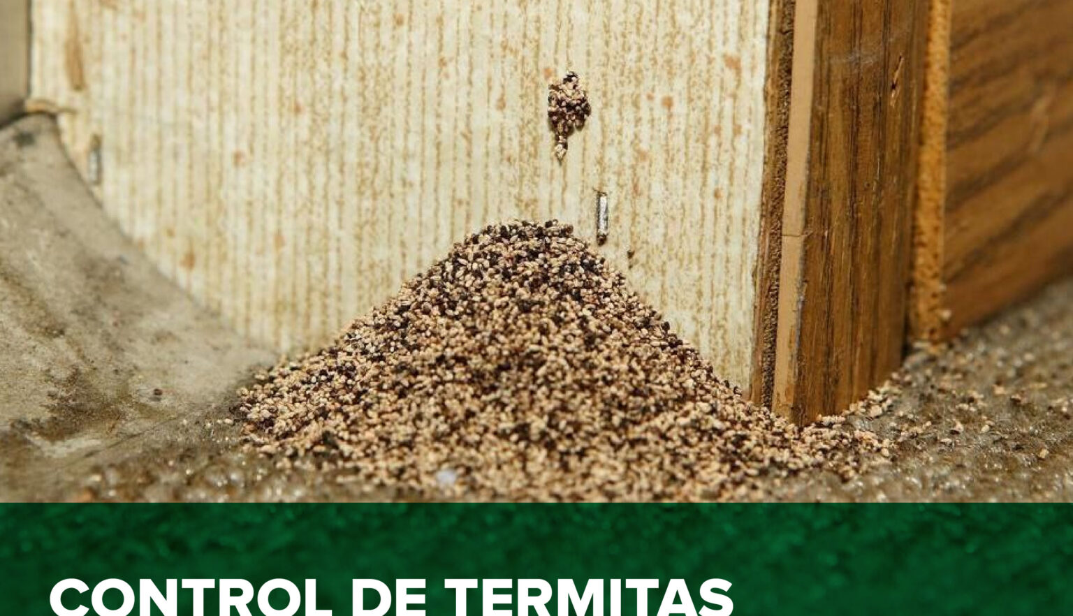 Control de termitas con cebos - Rizobacter Ecuatoriana - Gestión ...