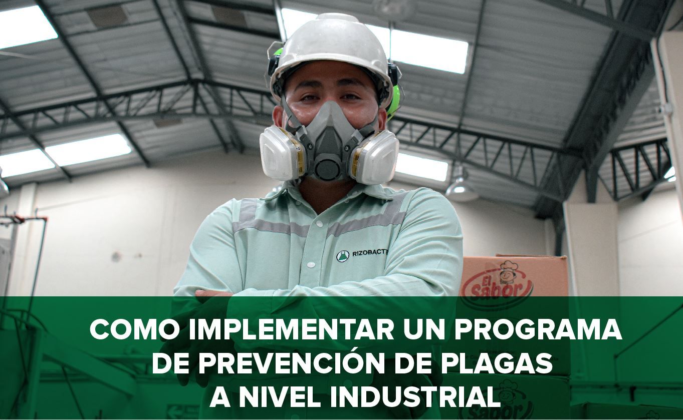 Cómo implementar un programa de prevención de plagas a nivel industrial ...